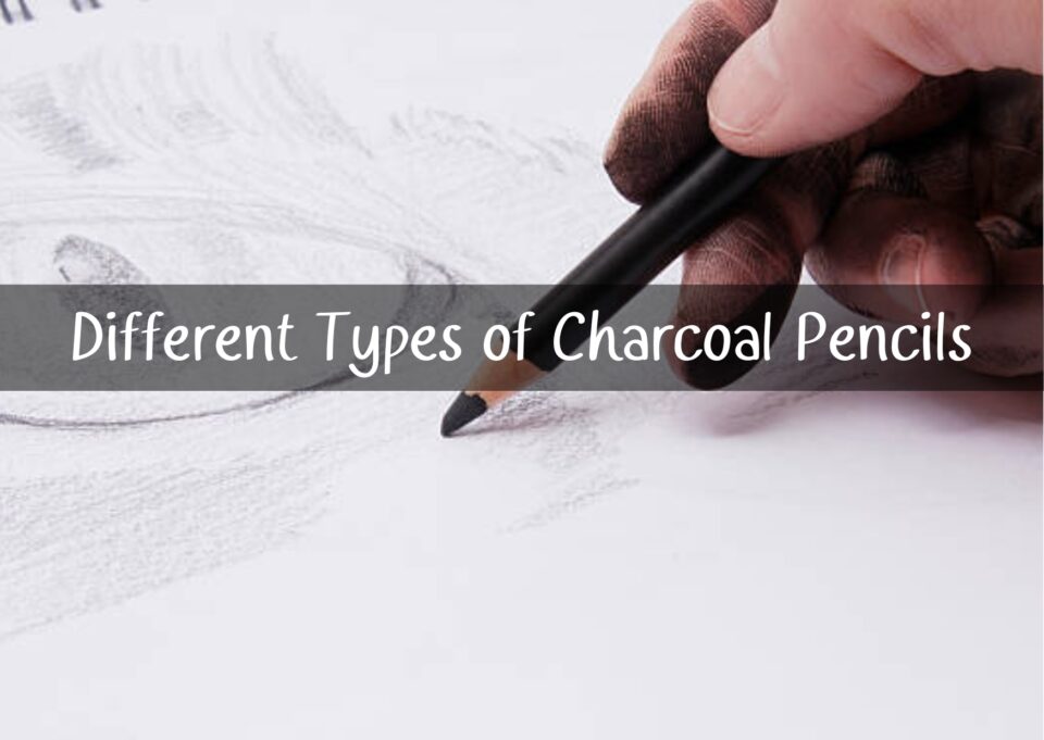 What Are the Best Charcoal Pencils for Drawing? (Full Guide)