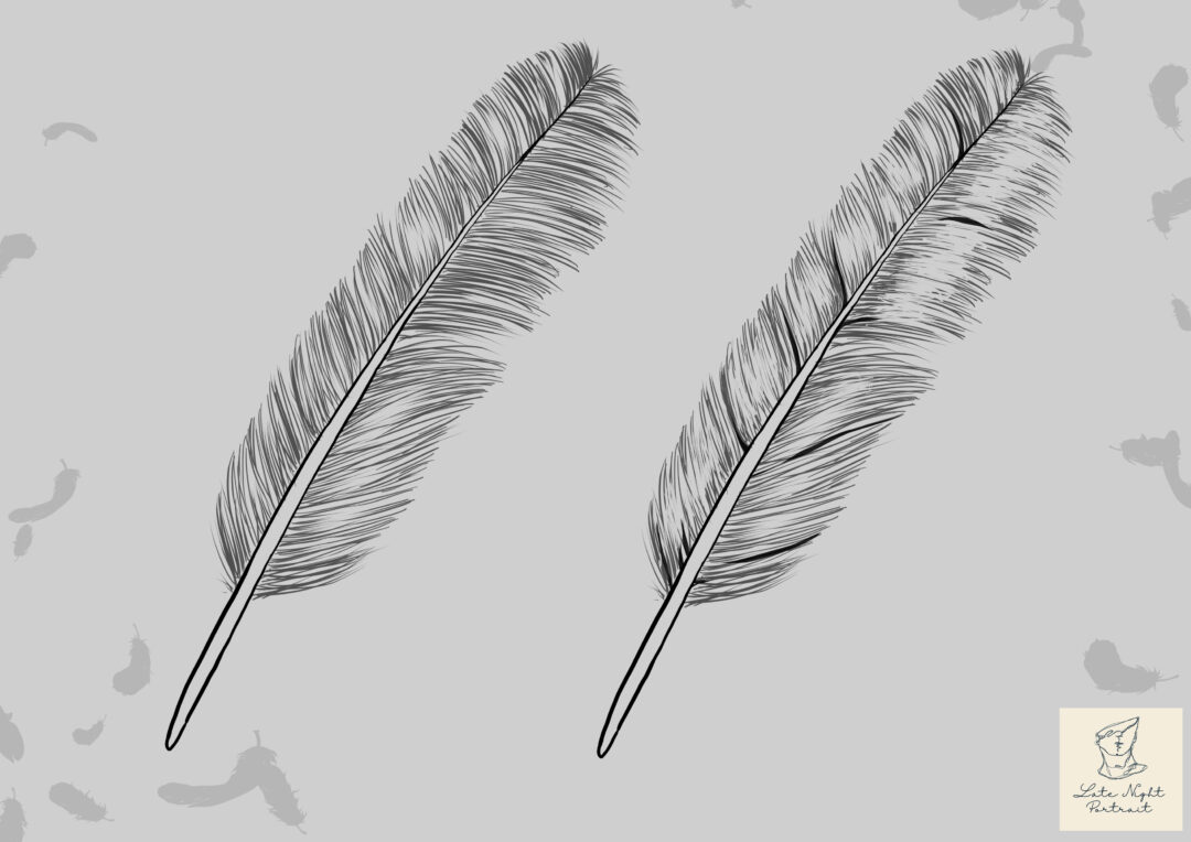 How to Draw a Feather (In 6 Simple Steps) | 2026