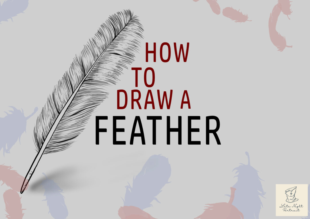 How to Draw a Feather (In 6 Simple Steps) | 2025