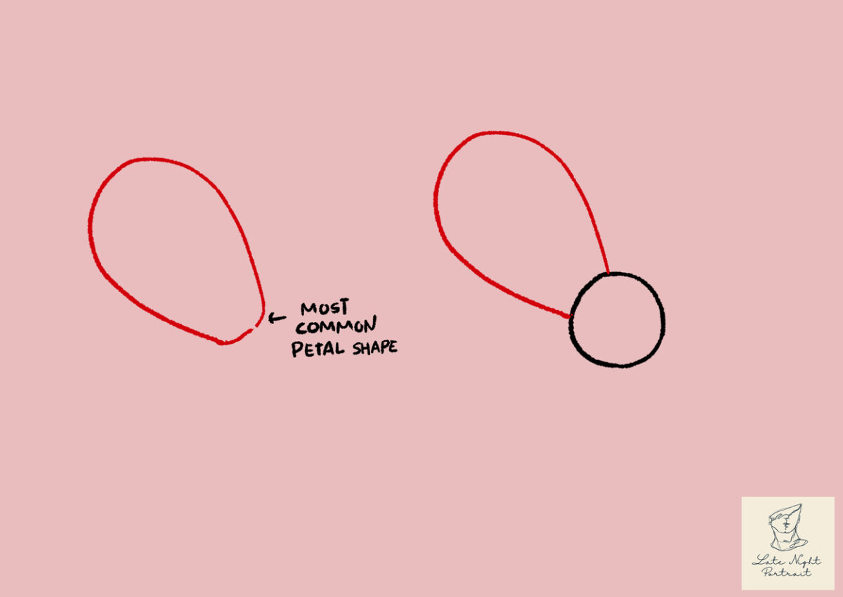 How to Draw a Flower (Easy Tutorials For Beginners) | 2025