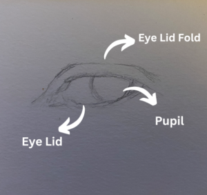 How to Draw Eyes (In 3 Easy Steps) | 2025