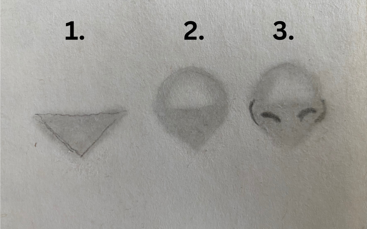 How to Draw a Nose from Multiple Angles (3 Easy Steps) | 2025