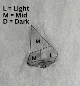 How to Draw a Nose from Multiple Angles (3 Easy Steps) | 2025