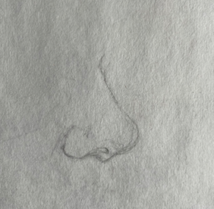 How to Draw a Nose from Multiple Angles (3 Easy Steps) | 2026