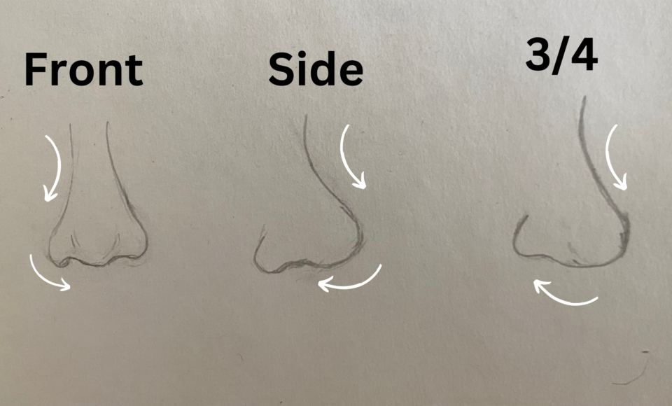 How to Draw a Nose from Multiple Angles (3 Easy Steps) | 2025