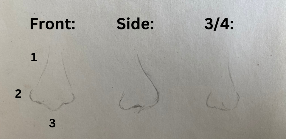 How to Draw a Nose from Multiple Angles (3 Easy Steps) | 2025