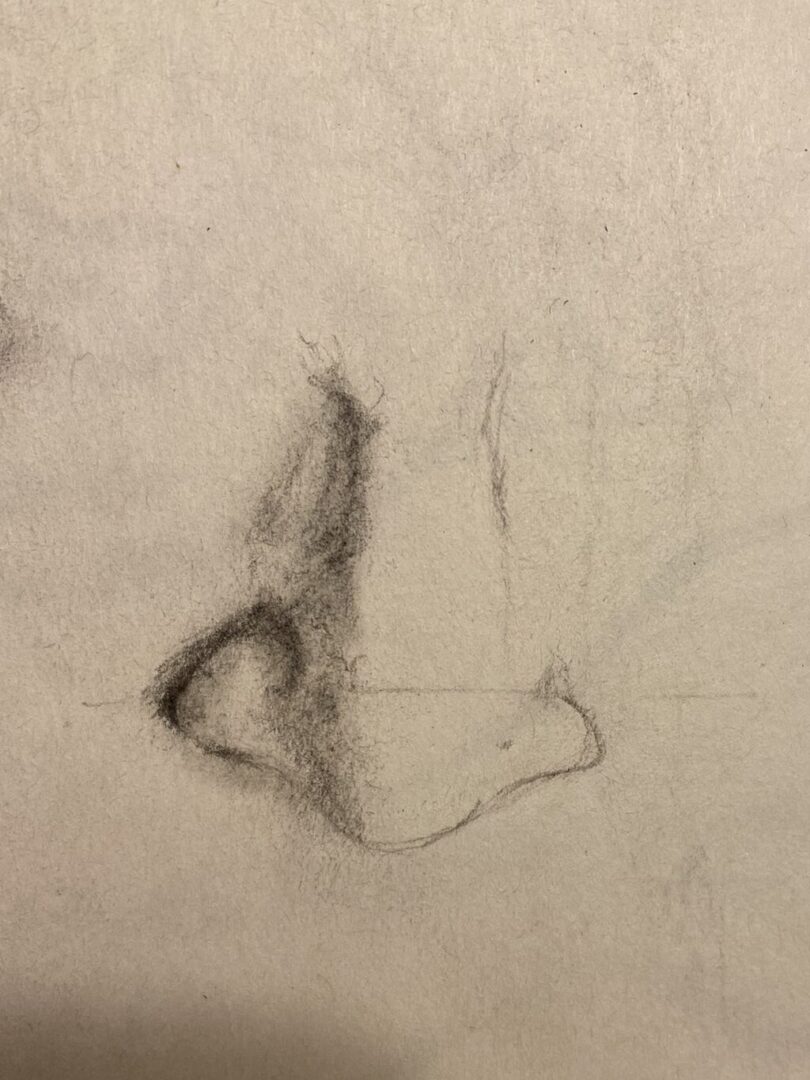 How to Draw a Nose from Multiple Angles (3 Easy Steps) | 2025