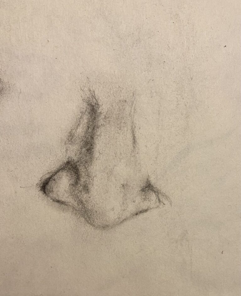 How to Draw a Nose from Multiple Angles (3 Easy Steps) | 2025