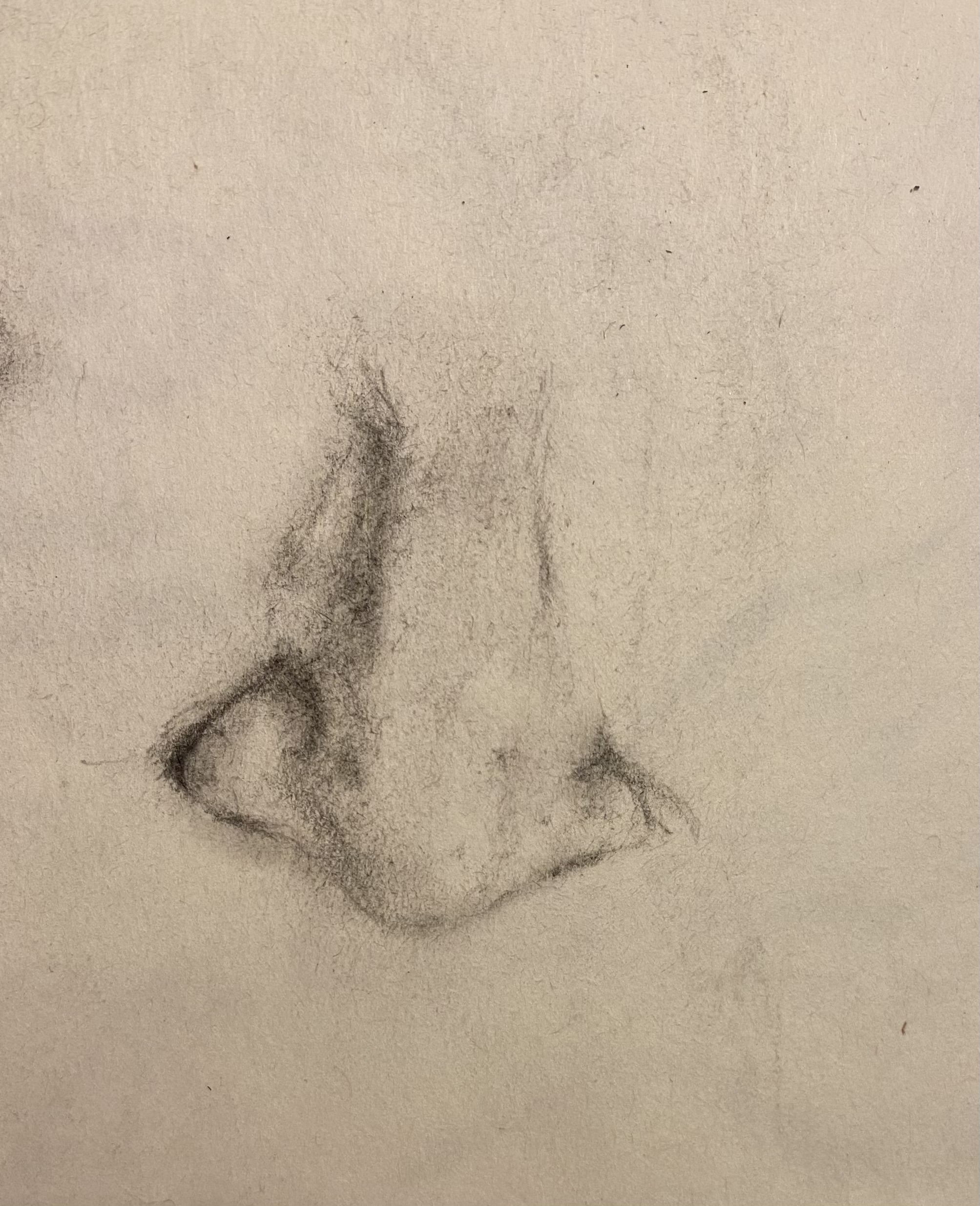 How to Draw a Nose from Multiple Angles (3 Easy Steps) | 2025
