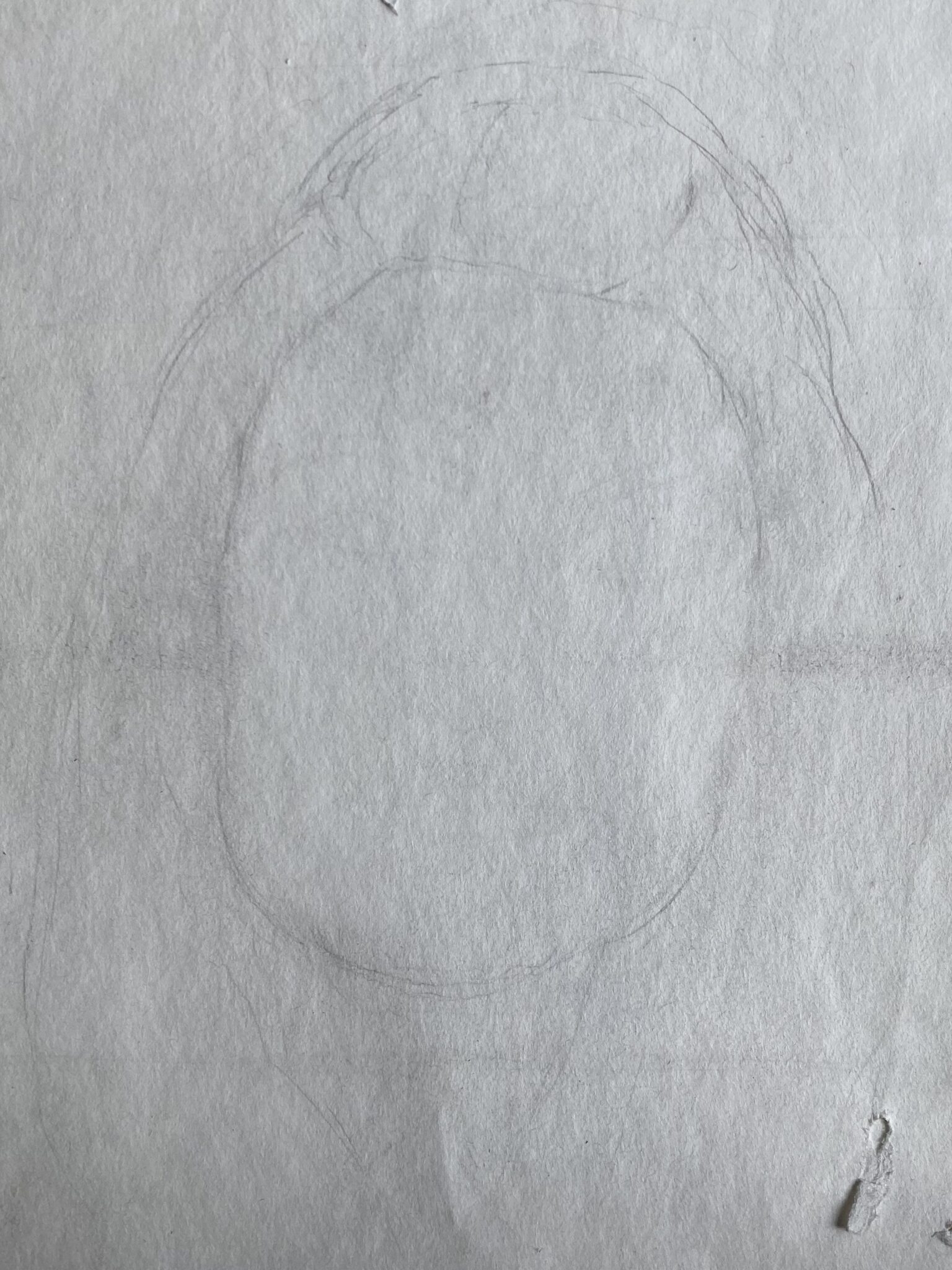 How to Draw a Face Step by Step From Different Angles (For Beginners ...