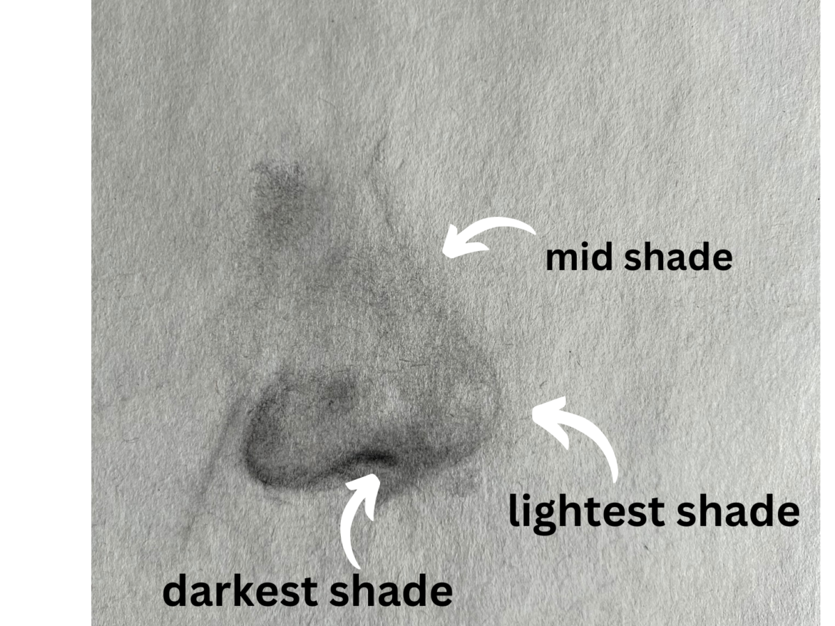 How to Draw a Nose from Multiple Angles (3 Easy Steps) | 2025