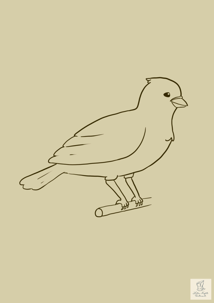 Easy to Draw Animals (50+ Animal Drawings Step by Step Guide) | 2025