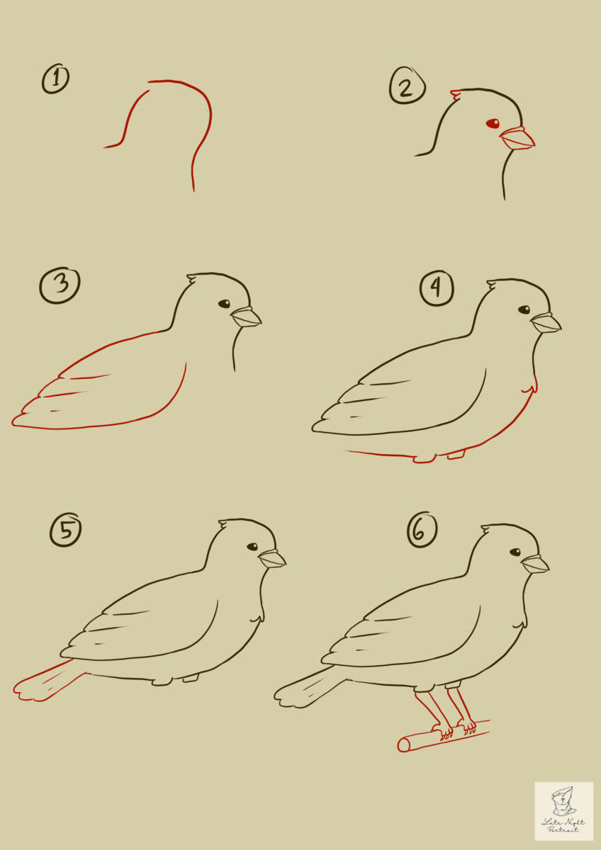 Easy to Draw Animals (50+ Animal Drawings Step by Step Guide) | 2025