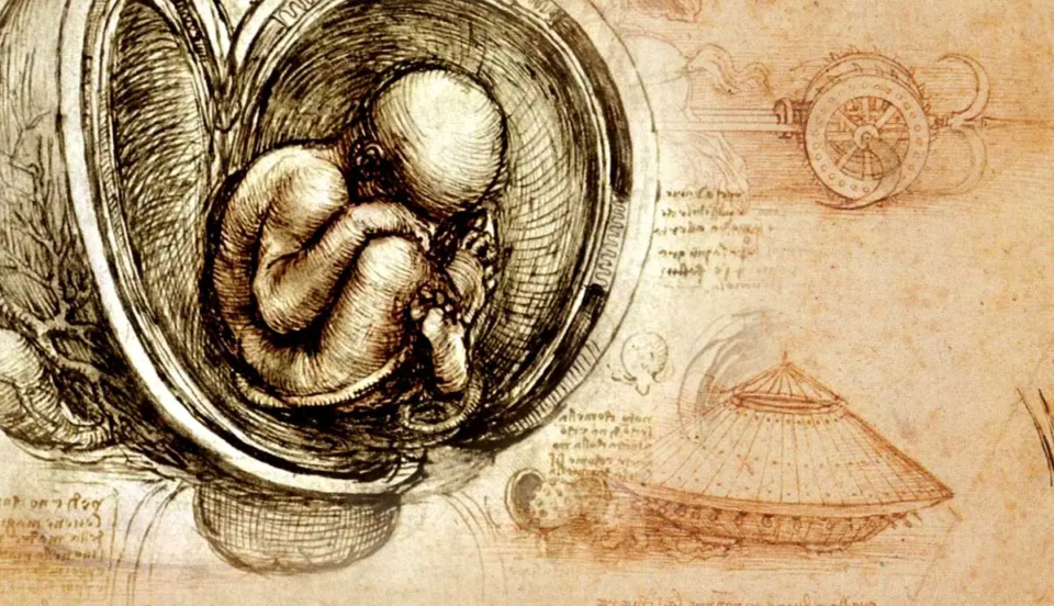 Top 15+ Masters of Drawing and Their Famous Drawings (Plus Contemporary ...